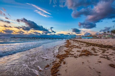 The Best Places To Go Snorkeling in Fort Lauderdale – Lauderdale By The Sea